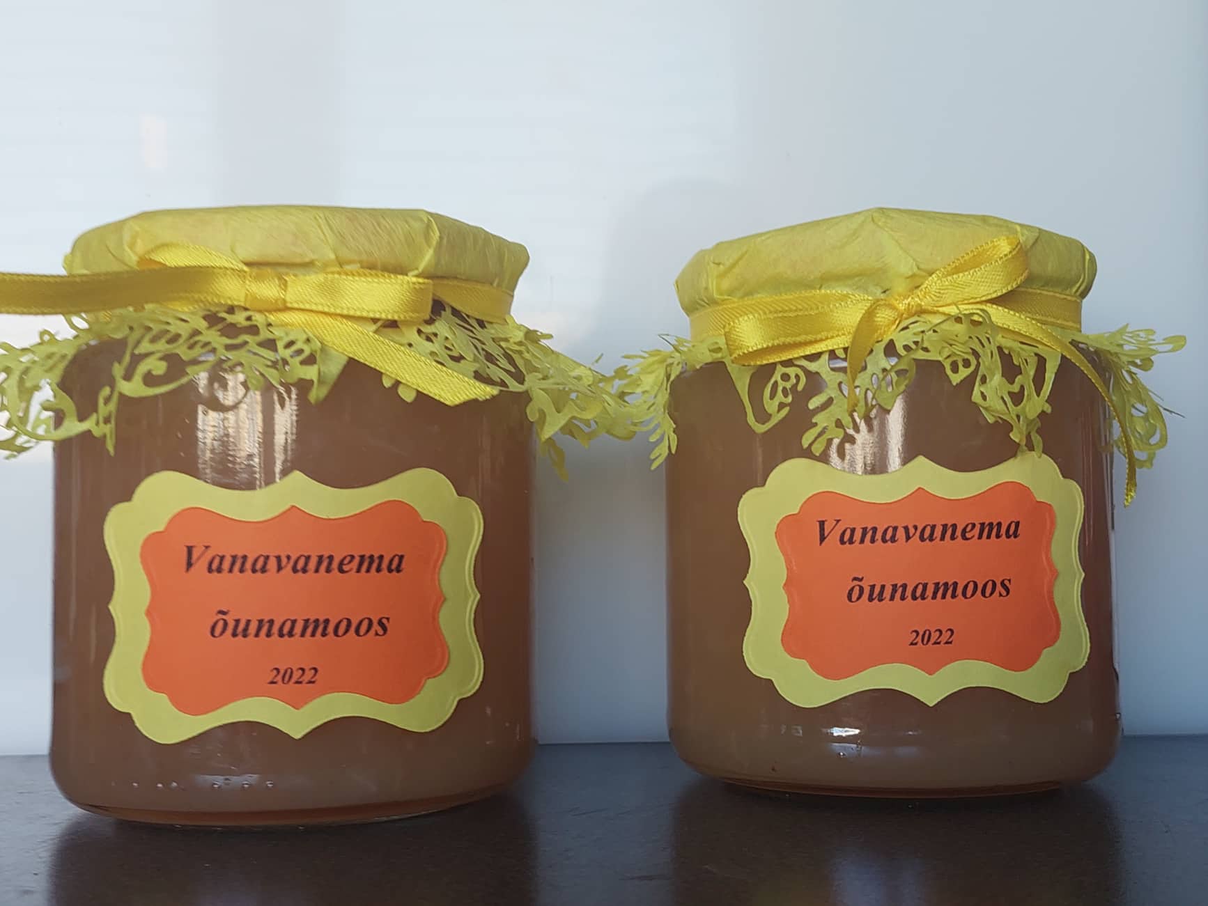 Vanavanemate päev Ahjal - Ahja Kool